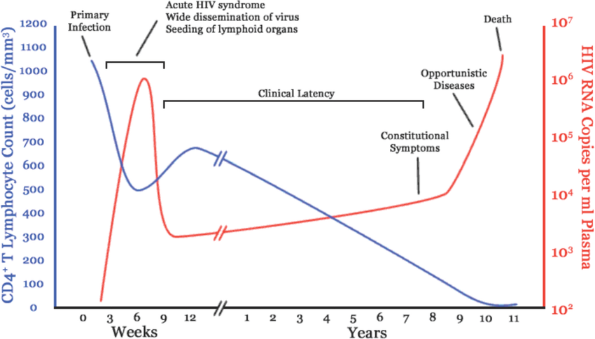 clinlab navigator - Human Immunodeficiency Virus Viral Load