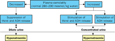 clinlab navigator - Sodium, Serum